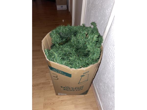 Slinger van neppe kerstboom (zonder verlichting) in Amsterdam - Huis en ...